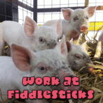 Welcome - Fiddlesticks Farms